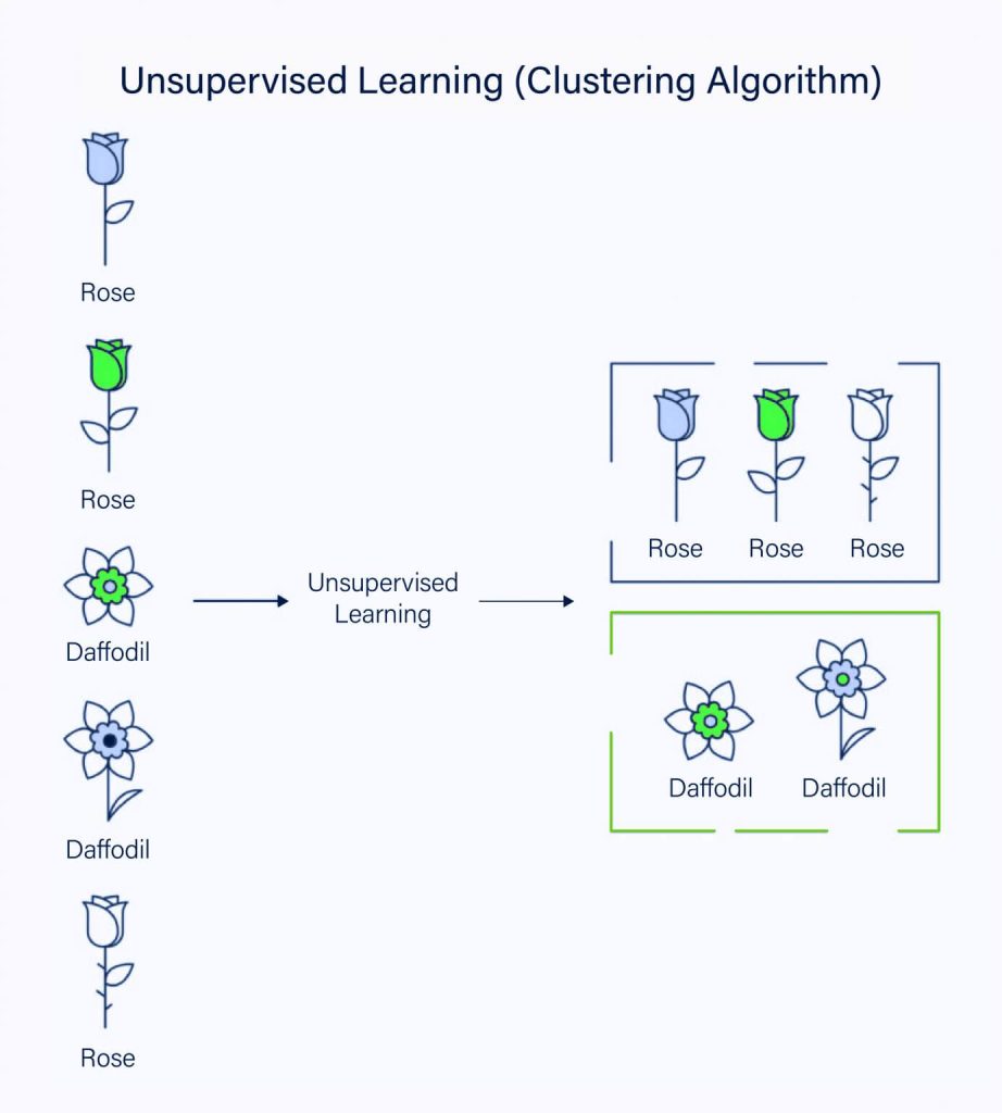 Top 7 Best Image Recognition Apps In 2024 [Business Guide]
